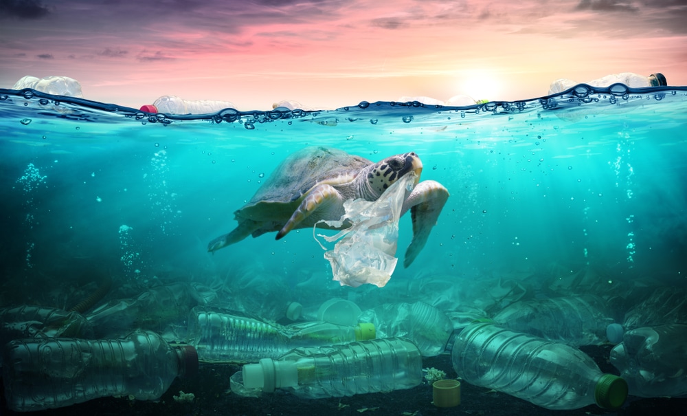 Biodegradable Plant-Based Plastic to Combat Ocean Waste