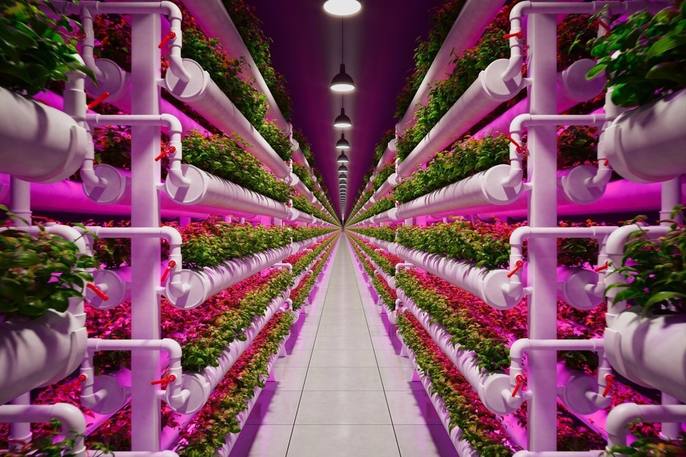 What is Vertical Farming?