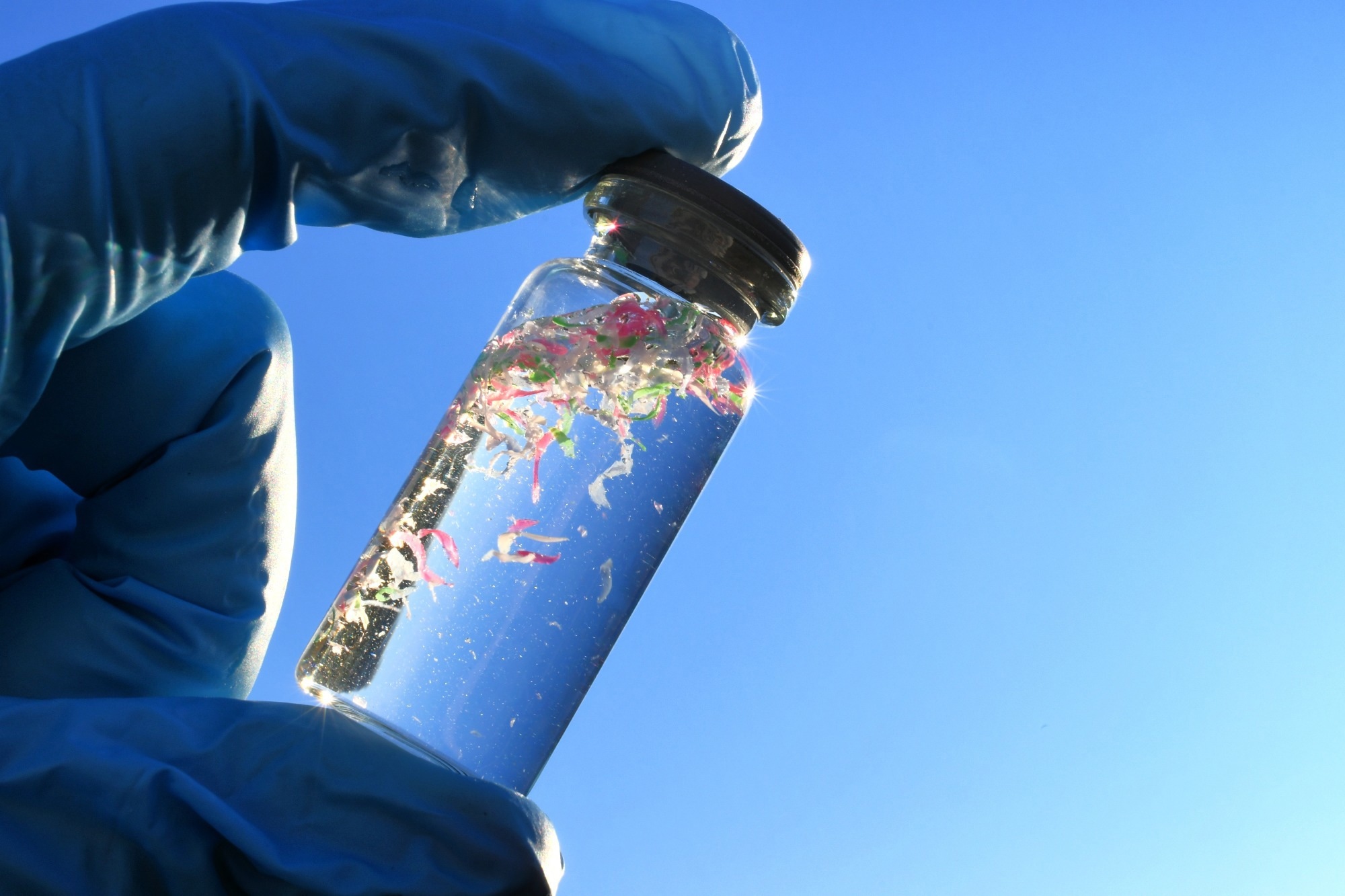 Microplastic Pollution Spreads Across Ecosystems, Study Finds