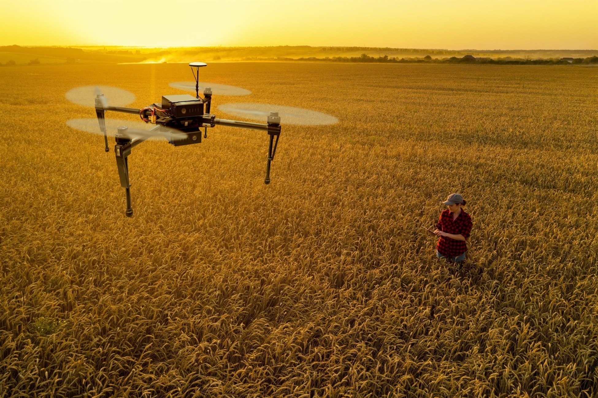 How is Precision Agriculture Used in Sustainable Farming?