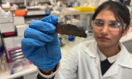 Tree Bark Could Help Clean Water and Air