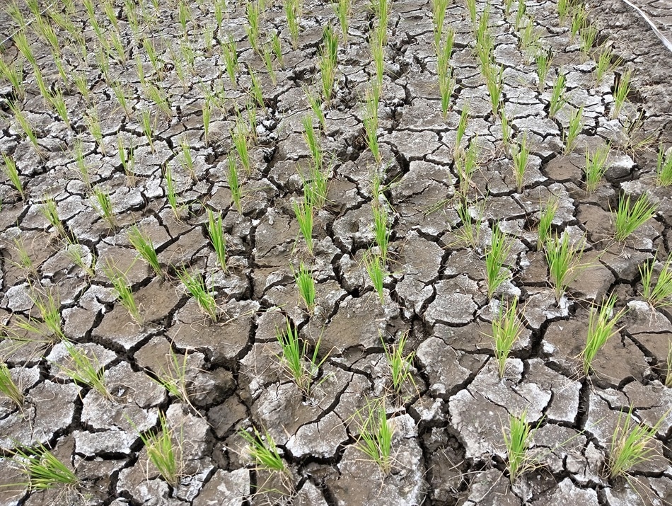 High Impact Weather Disrupts China's Green Energy Systems