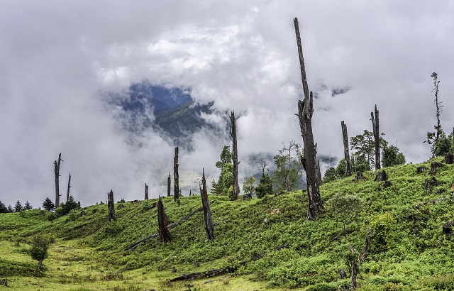 India Environmental Concerns