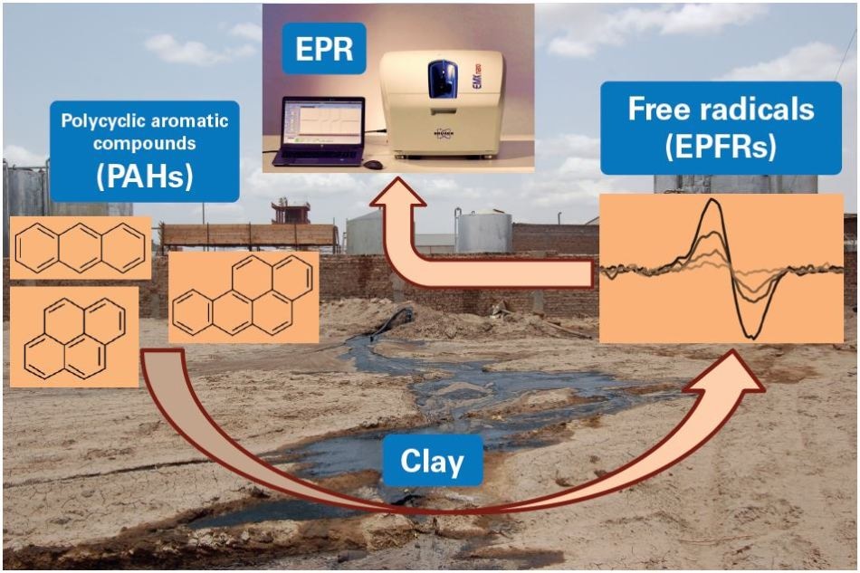 Detecting Common Soil Pollutants with EPR