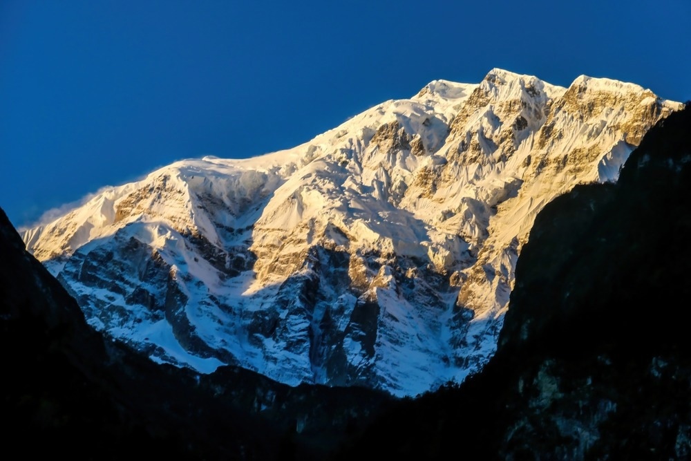 Growth and Climate Sensitivity of Himalayan Silver Fir